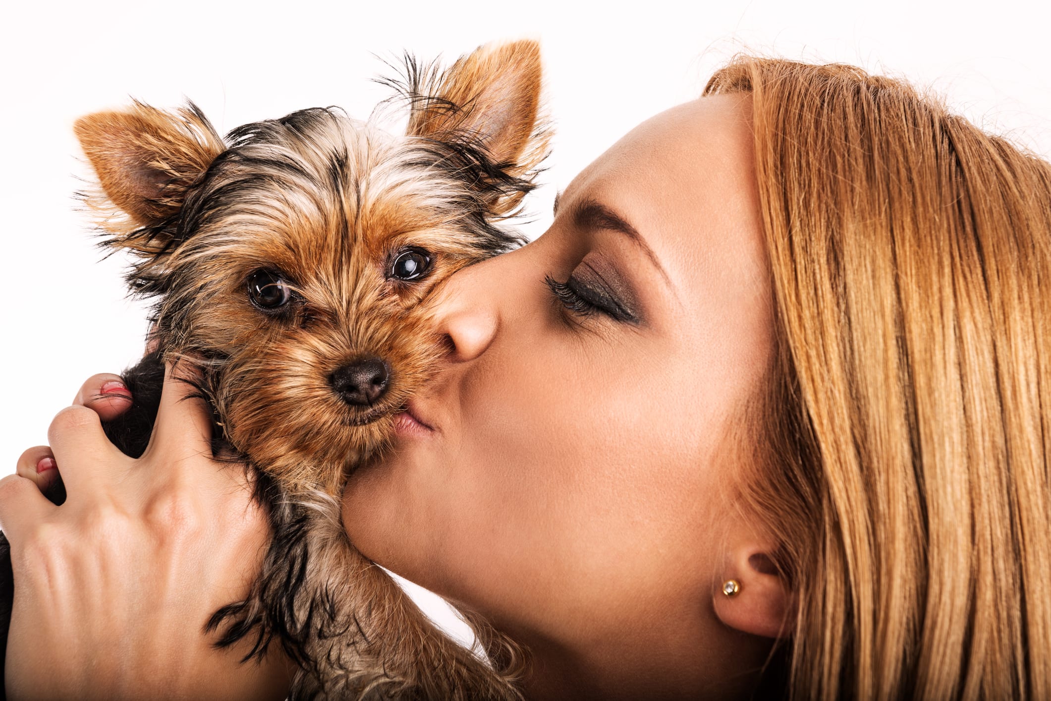 Health Benefits Of Having A Pet Scottsdale Pet Hotel Health Benefits Of Having A Pet Scottsdale Pet Hotel
